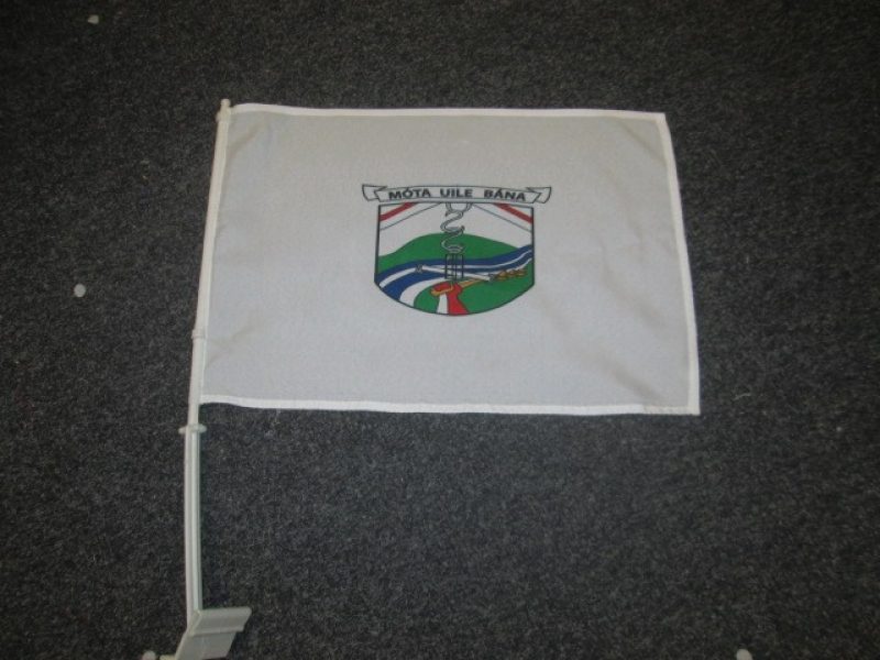 Custom Car Flag | Irish Wholesale Flags